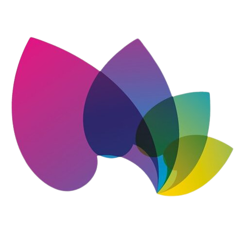 Kayvon Samavati | Software & Web Dev